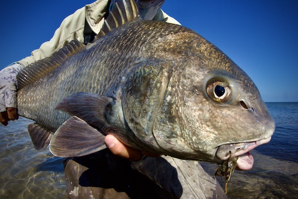 Three Wonderful Days Report - Spottedtail Travel and Outdoors